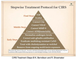 CIRS（慢性炎症反応症候群）カビ毒治療プロトコル 15ステージ