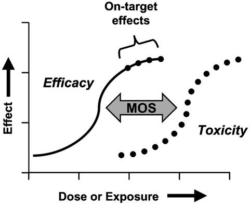 医薬品の安全性評価における「無毒性量」（NOAEL）のレベル